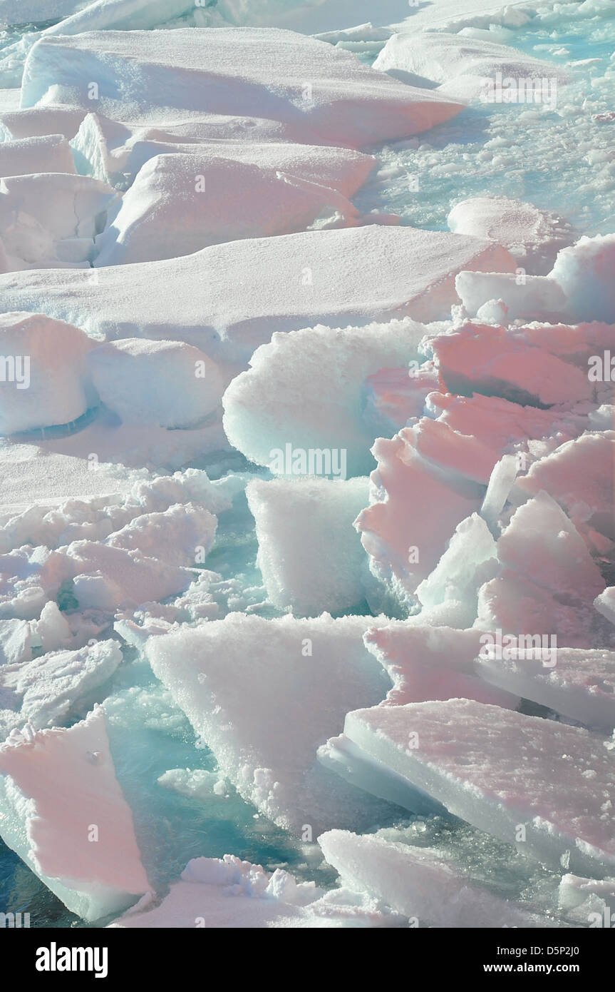 This image depicts a traditional Coast Salish canoe, with a focus on ...