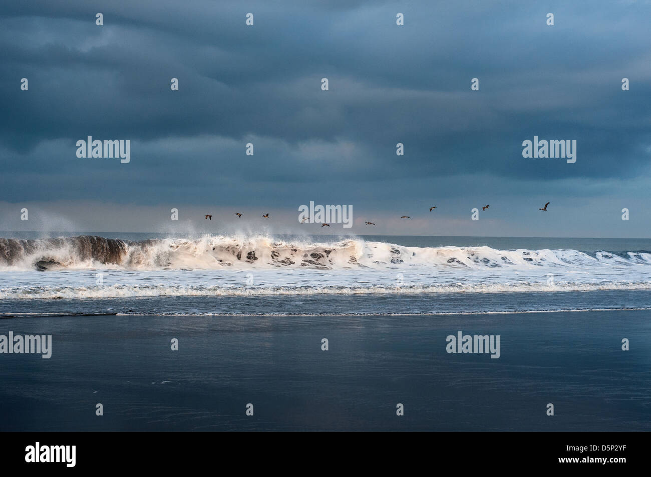 Birds flying over the Pacific Ocean Costa Rica Stock Photo - Alamy