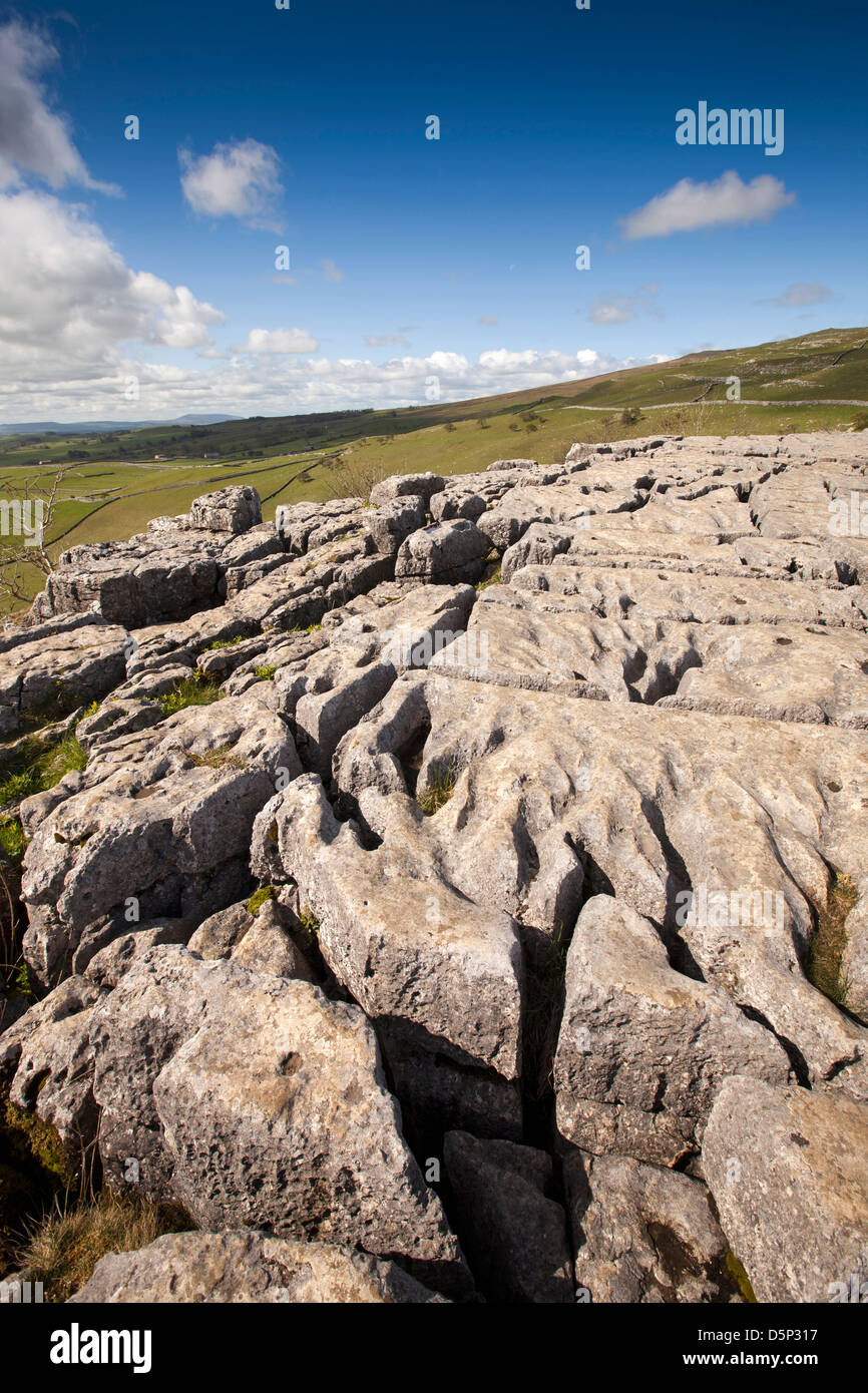 UK, England, Yorkshire, Malham, limestone pavement above Malhamdale ...