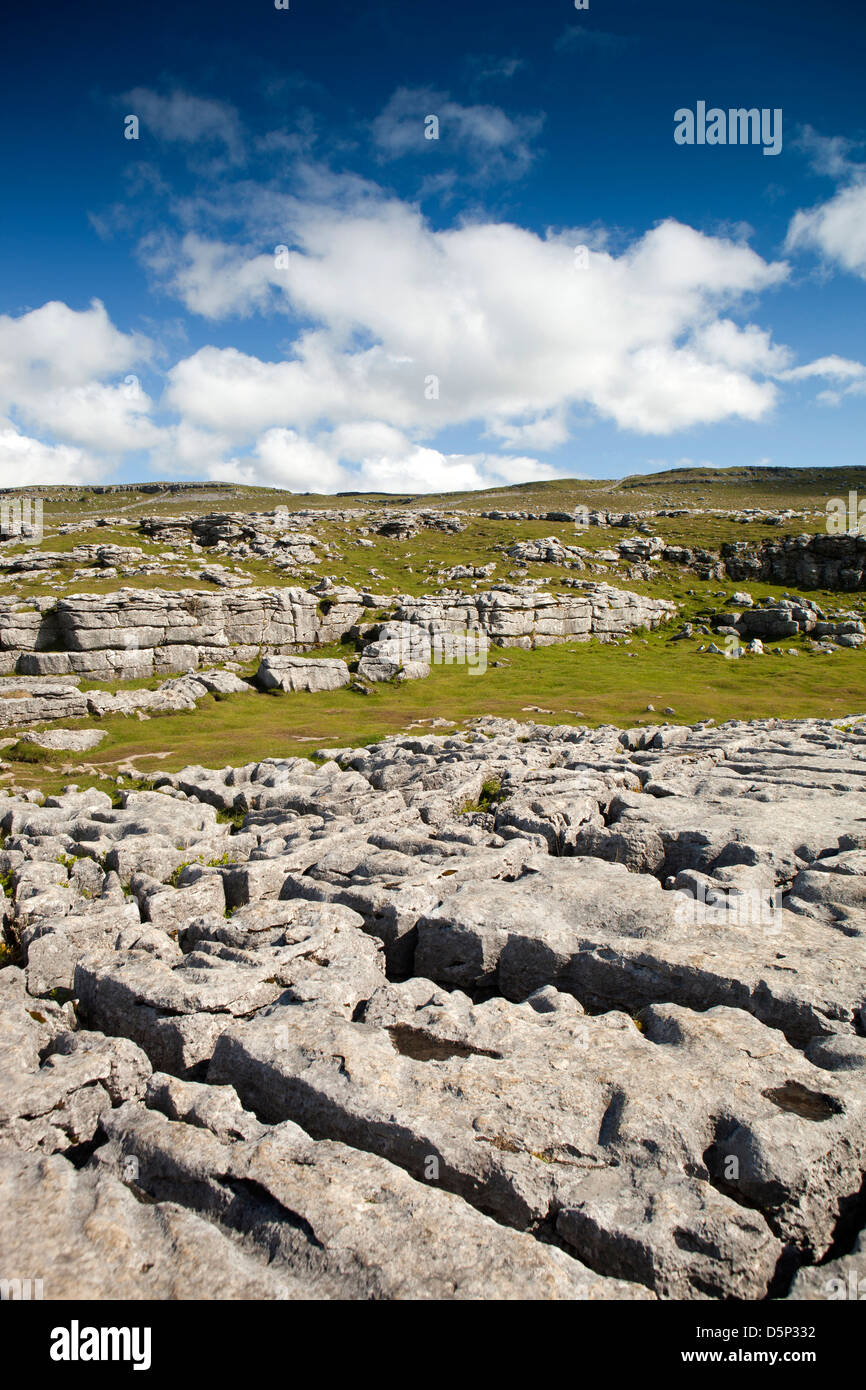 UK, England, Yorkshire, Malham, Ing Scar, limestone pavement in dry ...