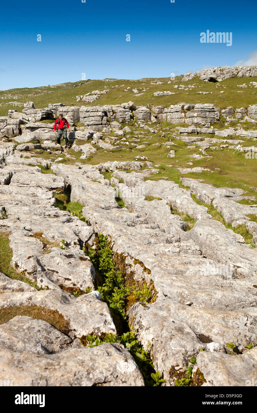 Clint walker hi-res stock photography and images - Alamy