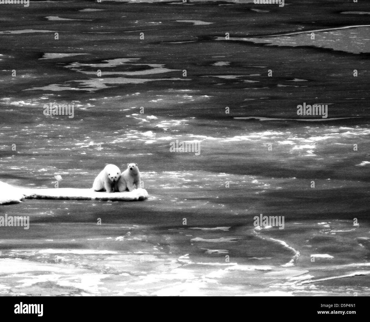 Earth climate region Black and White Stock Photos & Images - Alamy