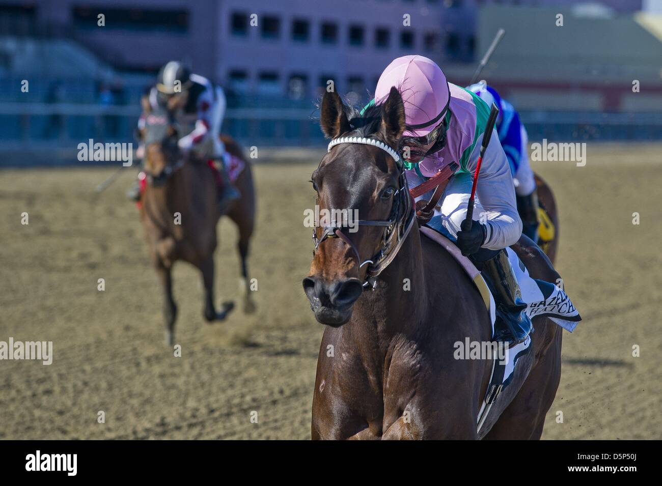 Stakes aqueduct hi-res stock photography and images - Alamy