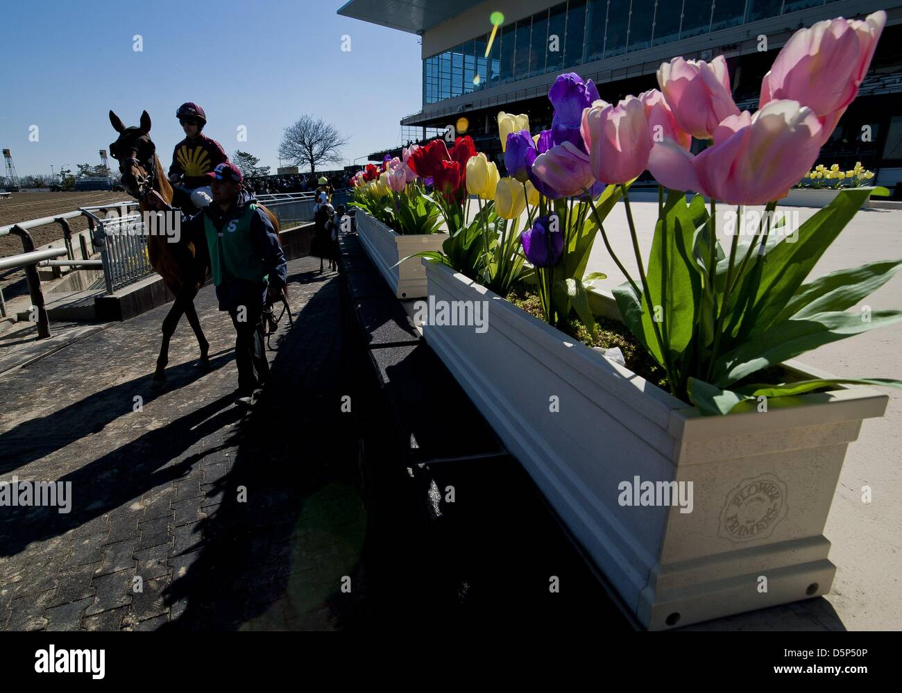 Aqueduct race track hi-res stock photography and images - Alamy