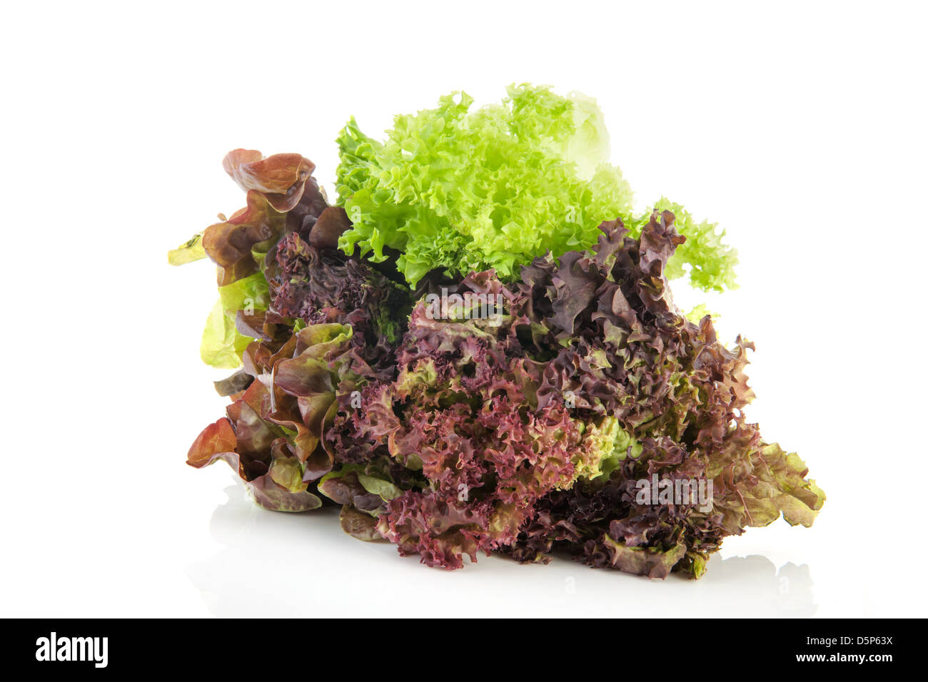 Curly oak hi-res stock photography and images - Alamy