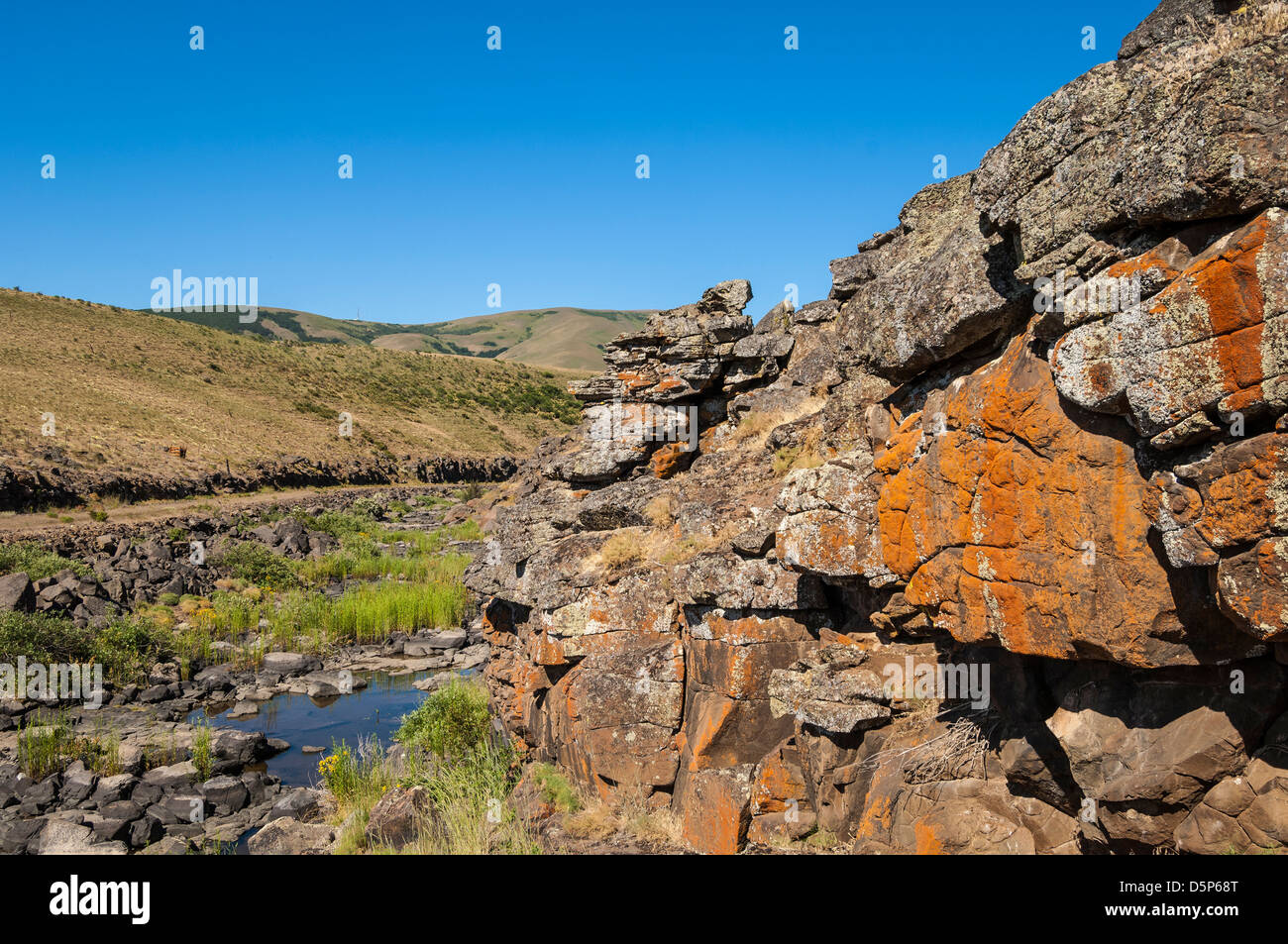 Swale hi-res stock photography and images - Alamy