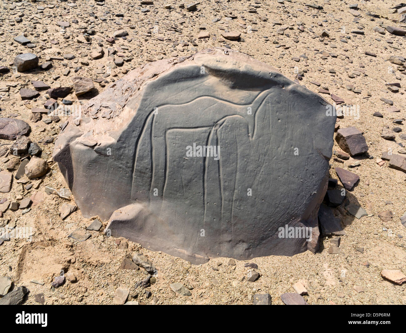 Prehistoric rock carvings at Oum Aleg on the Tata to Akka road in ...