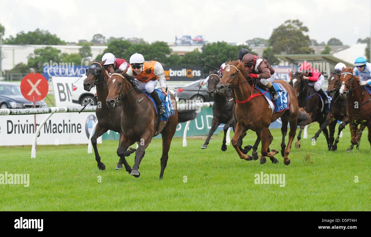 Rosehill gardens racecourse hi-res stock photography and images - Alamy