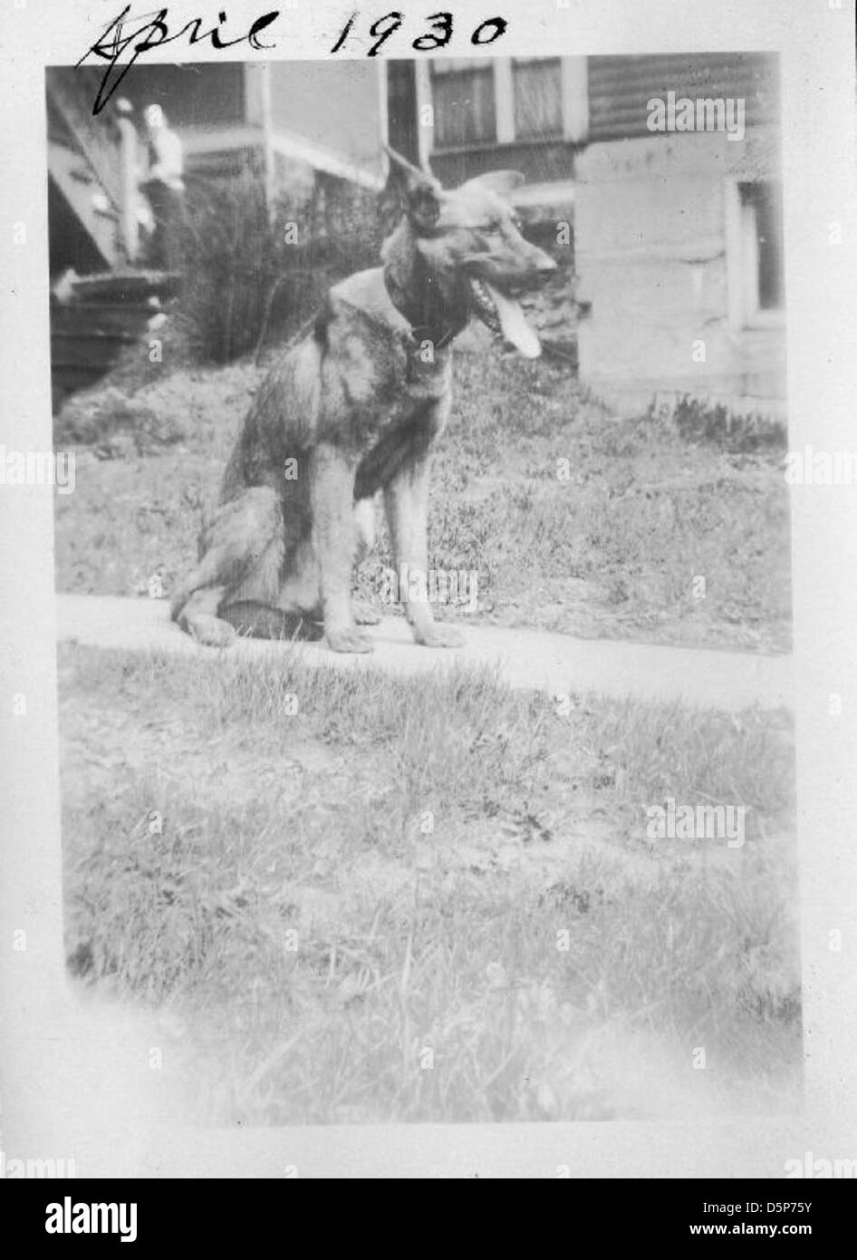Helen Richey was a pioneering aviator and the first woman to fly a ...