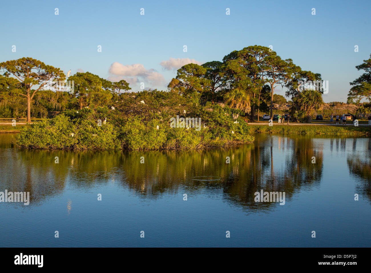 Wildlife venice hi-res stock photography and images - Alamy