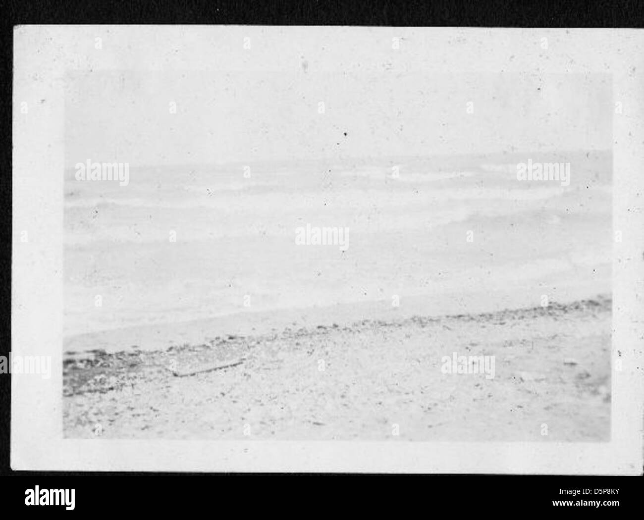 Helen Richey, a pioneering aviator, is known for her significant ...