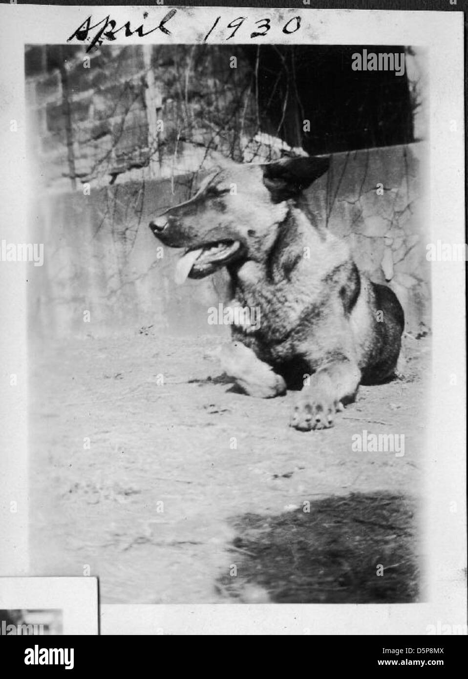 Helen Richey was a pioneering female aviator, known for her significant ...