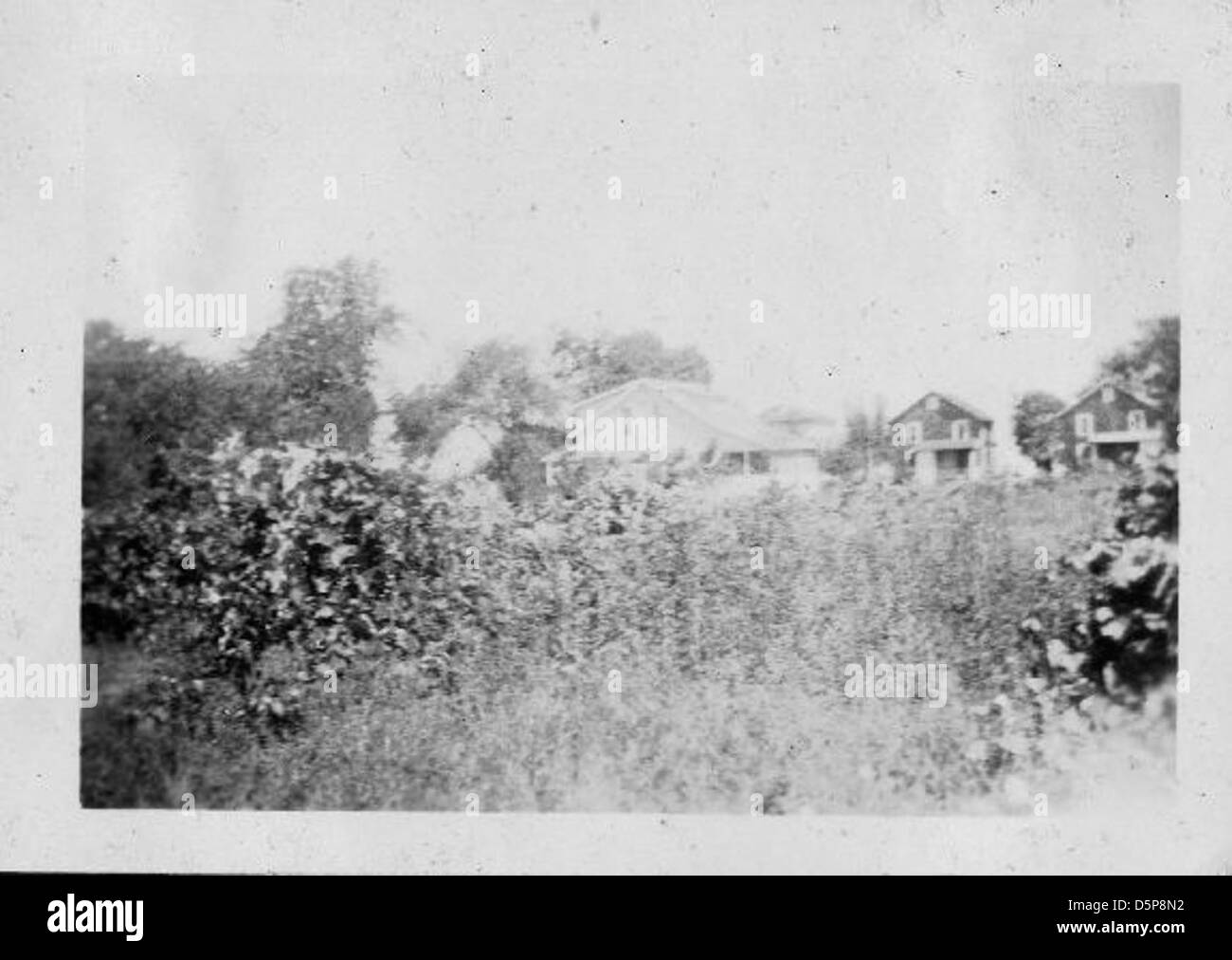 Helen Richey was one of the first female aviators to make a significant ...