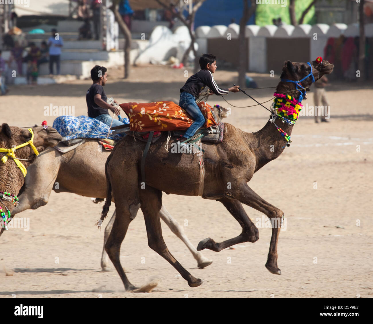 Camel racing boy hi-res stock photography and images - Alamy