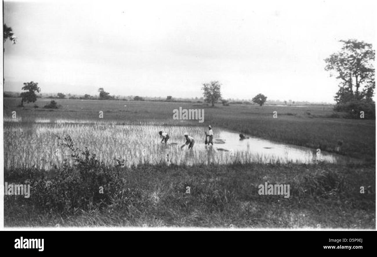 Burma aviation played a key role in the Asia-Pacific theater during ...