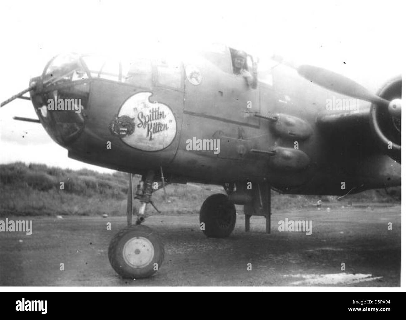 The Spitten Kitten Stock Photo - Alamy