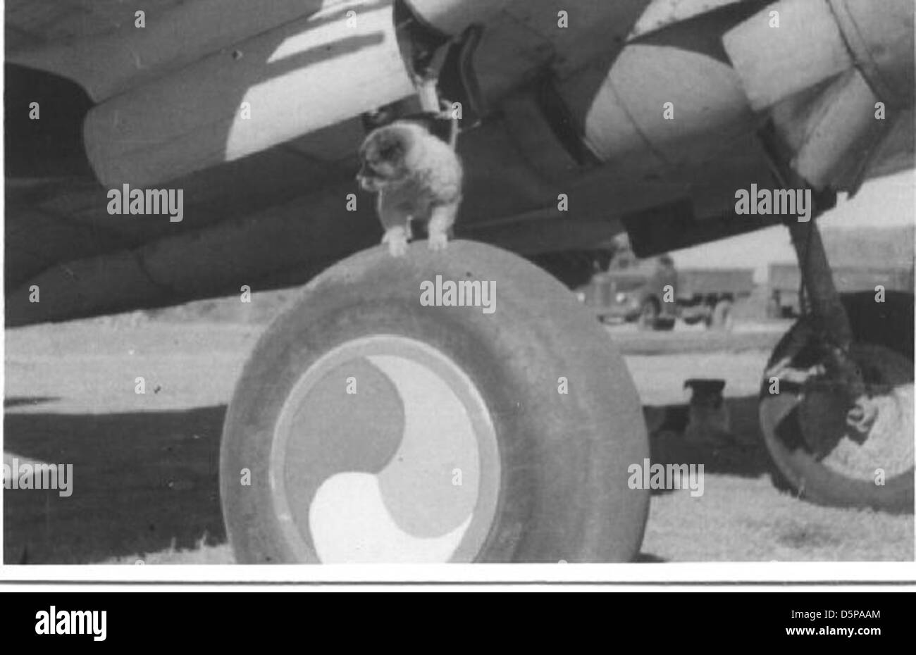 The Lotus Blossom was an aircraft involved in flying operations with a ...