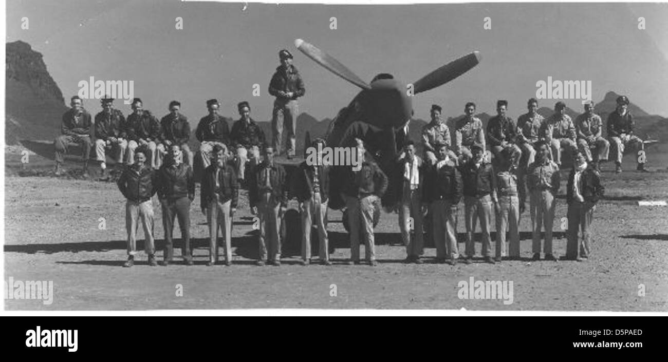 The 74th Fighter Squadron, known as the Tigers, played a crucial role ...