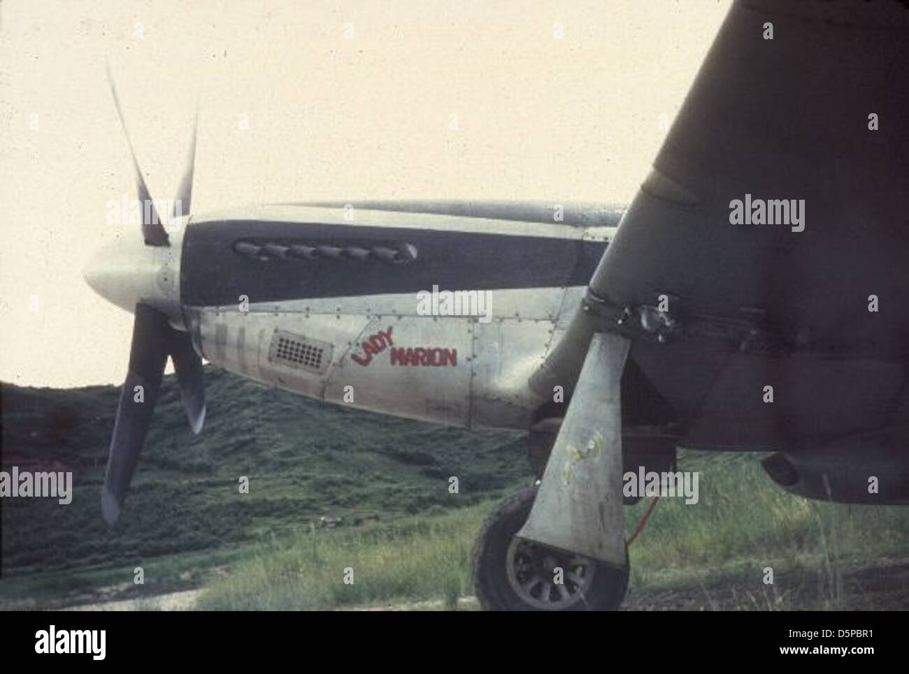 Lady marion hi-res stock photography and images - Alamy