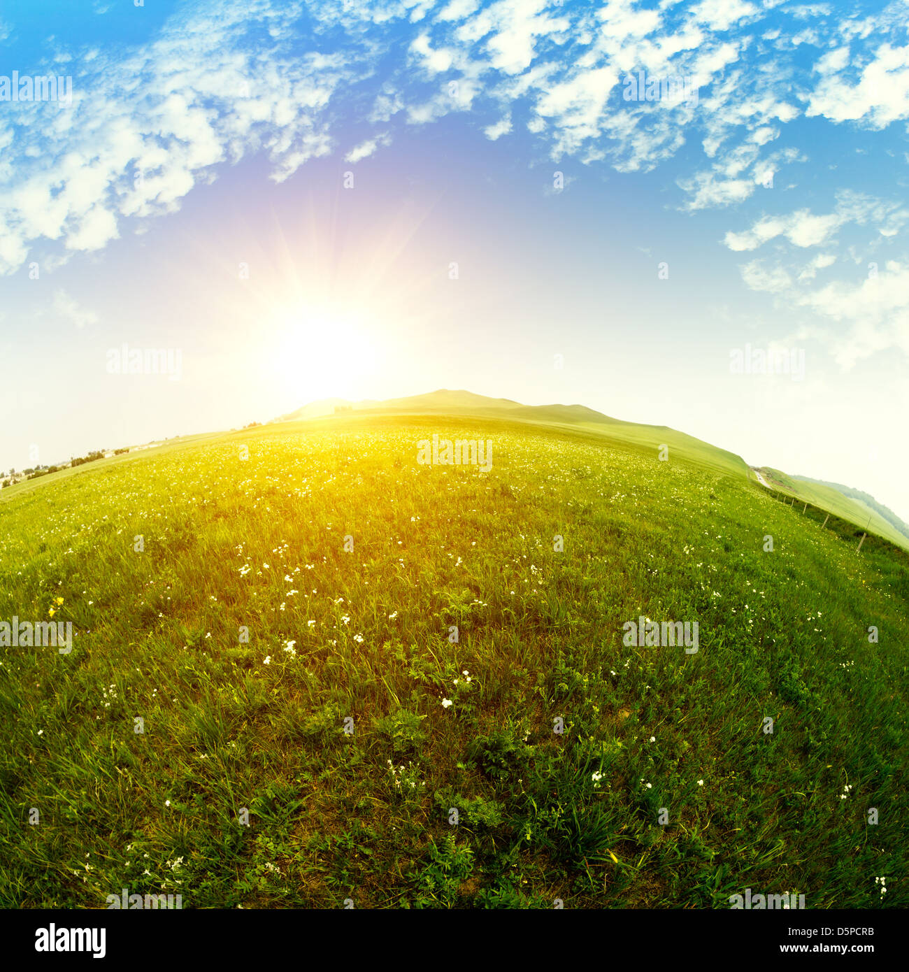 field on a background of the blue sky Stock Photo - Alamy