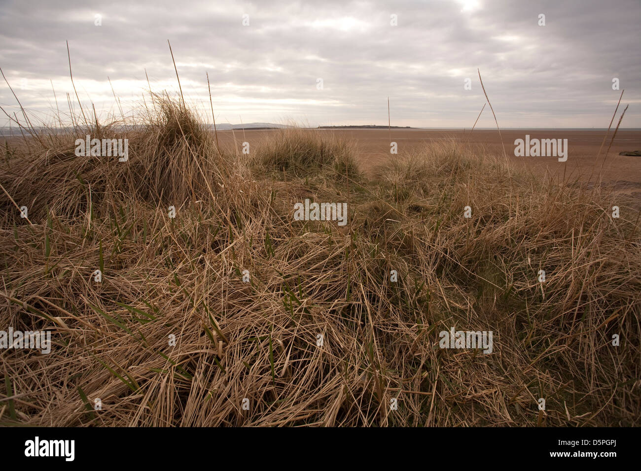 A grassy dune at Red Rocks near Hoylake on the Wirral peninsula NW, UK ...