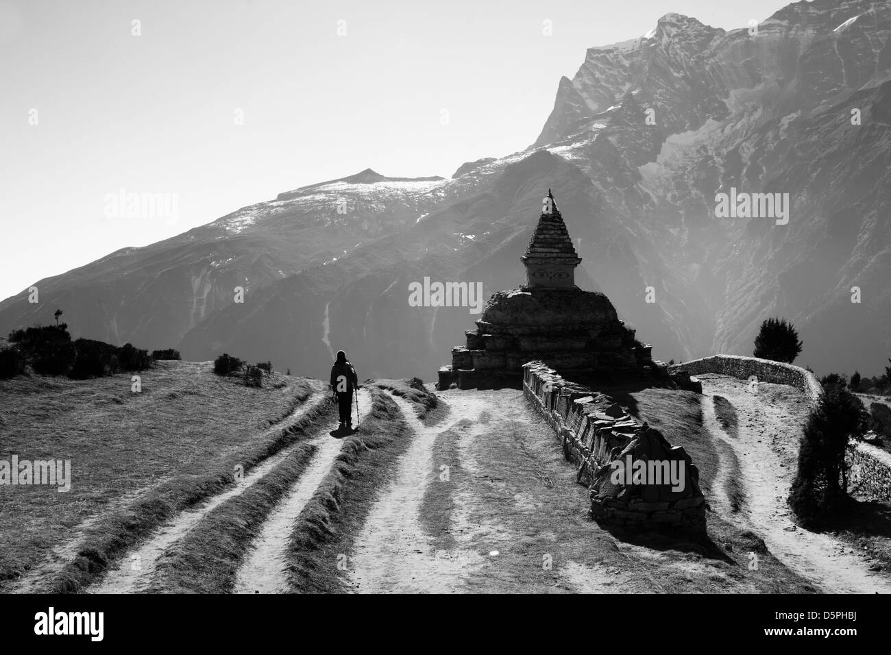 Walking base Black and White Stock Photos & Images - Alamy