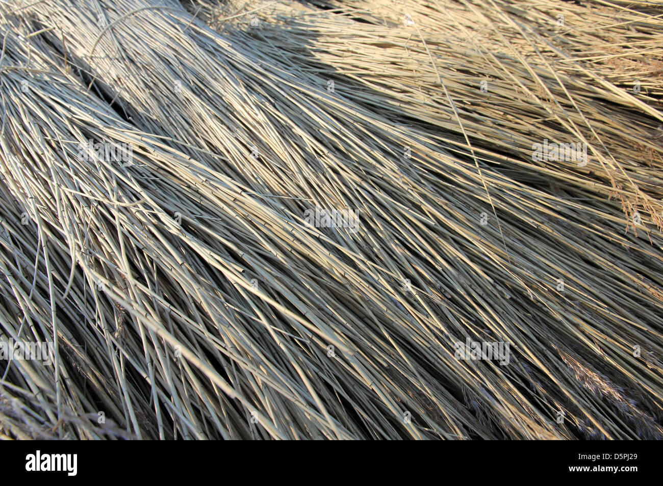 Thatching methods hi-res stock photography and images - Alamy