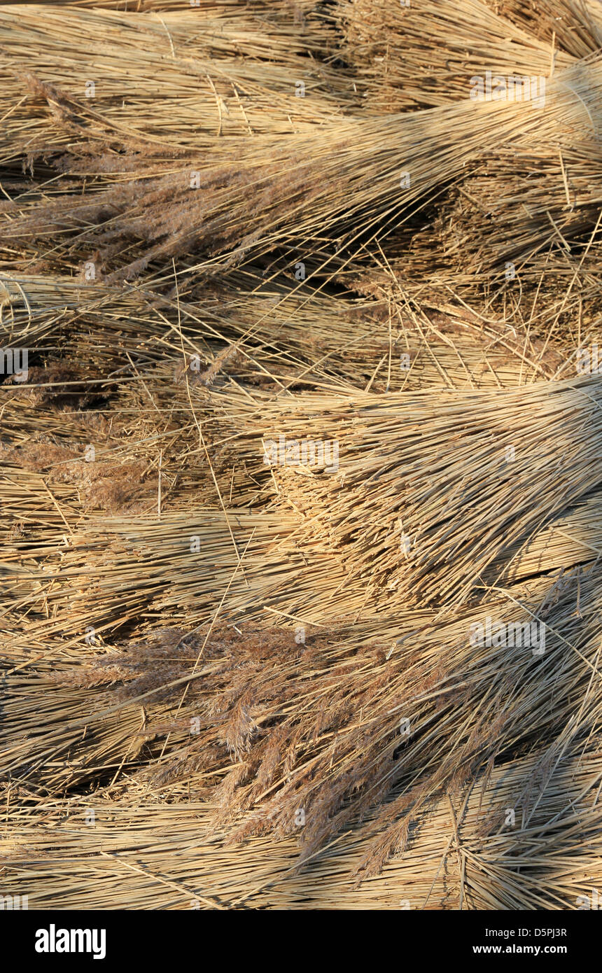 Thatching methods hi-res stock photography and images - Alamy