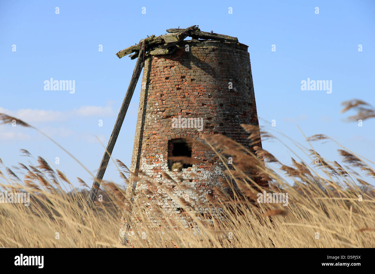The dingle tower hi-res stock photography and images - Alamy