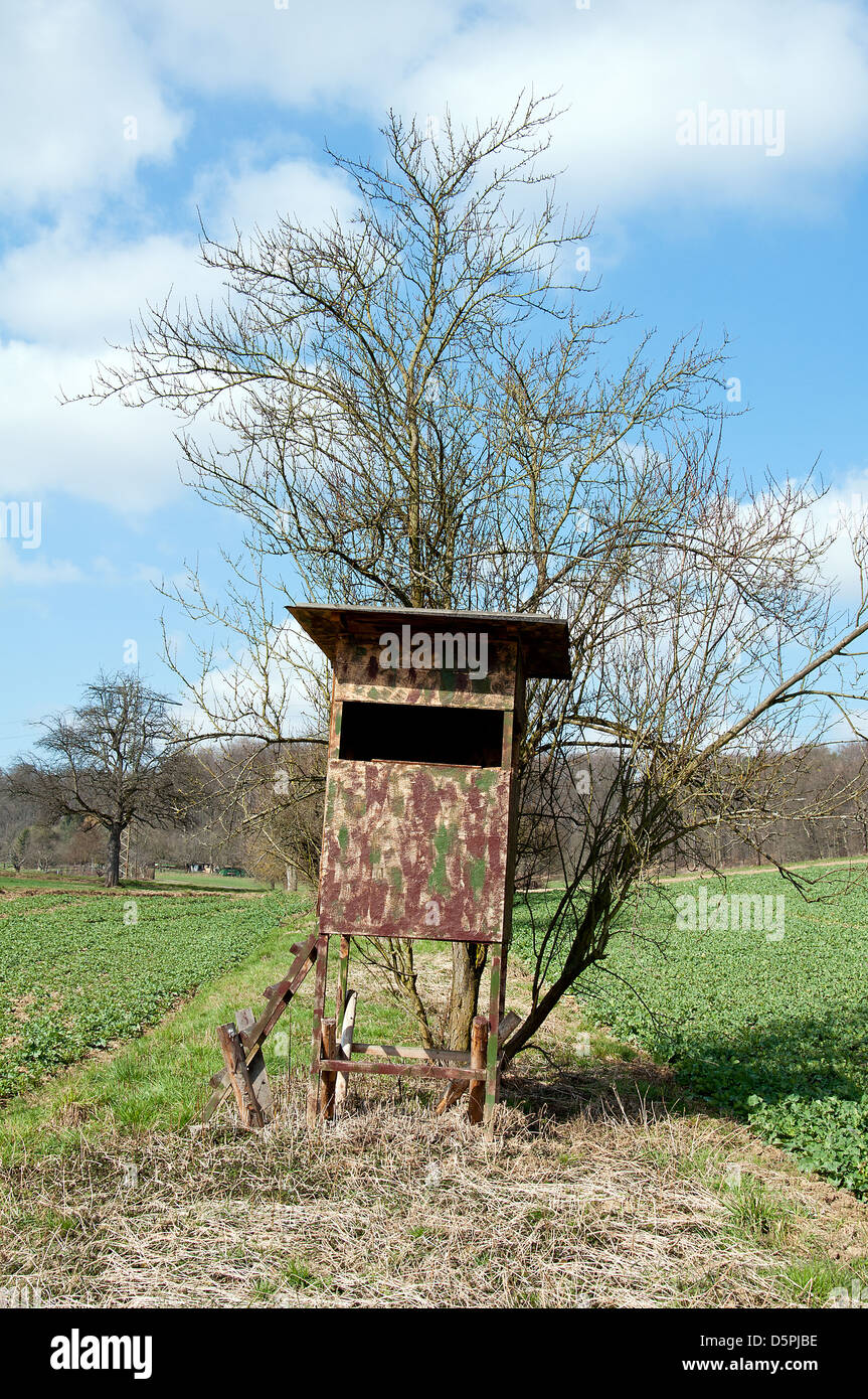 Architecture birdwatching tower hi-res stock photography and images - Alamy
