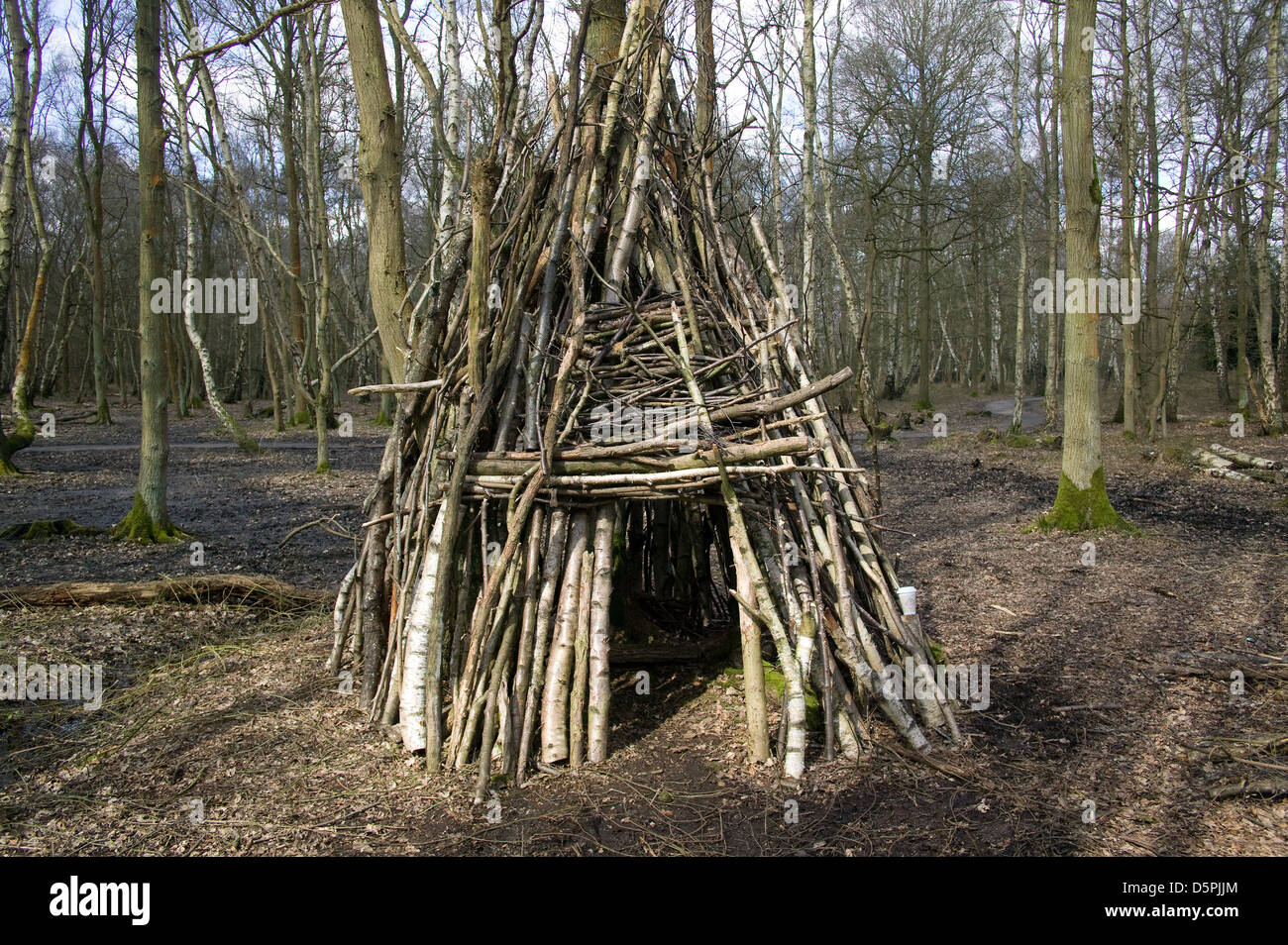HIgh Beech Epping Forest Essex England UK Europe Stock Photo - Alamy