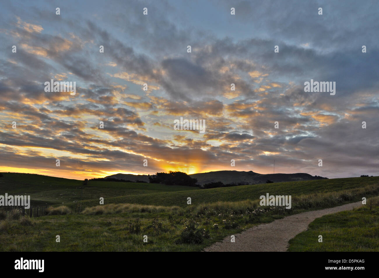 sunset Near Nelson, New Zealand Stock Photo - Alamy