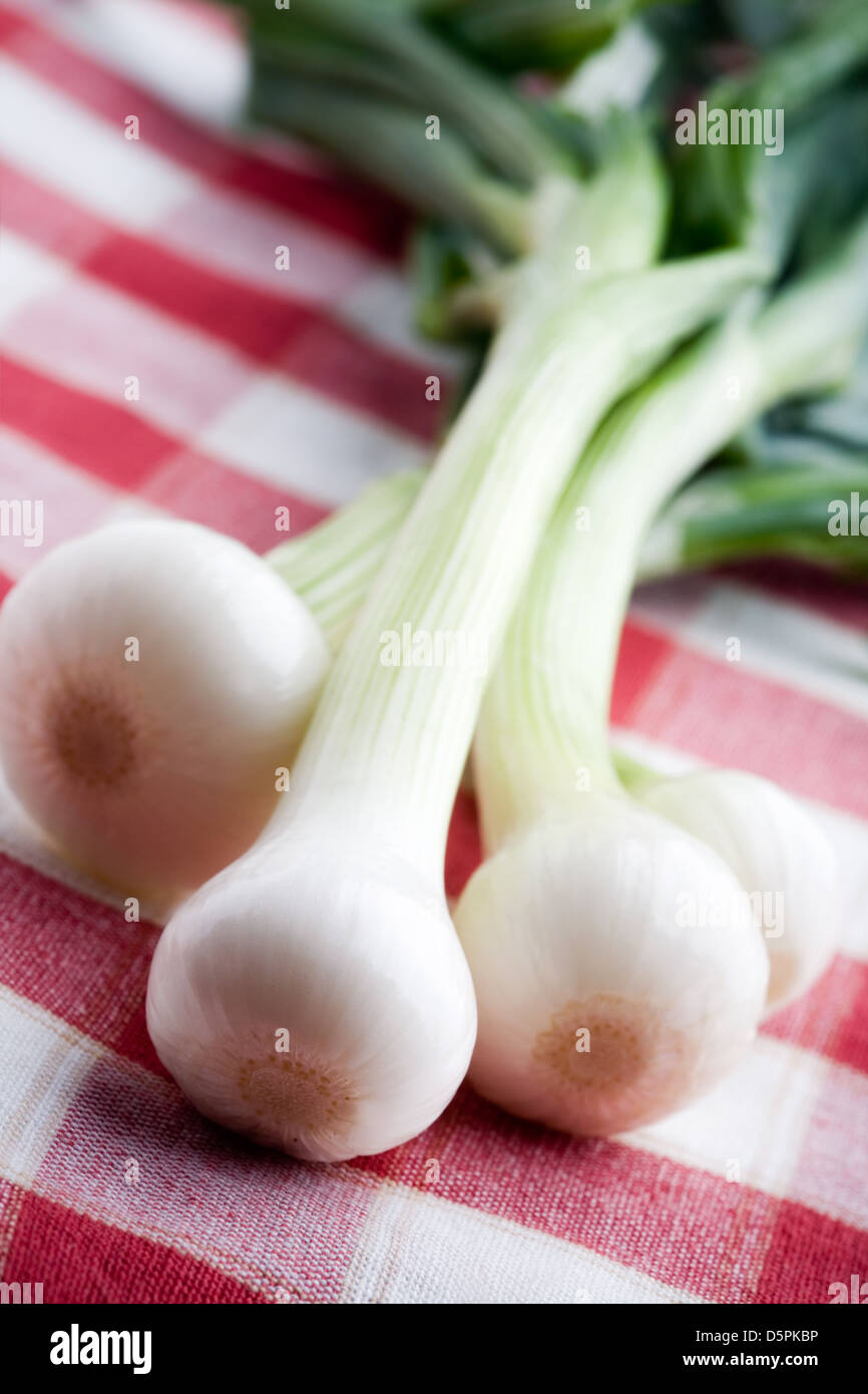 Bunch of fresh onions on kitchen table Stock Photo - Alamy