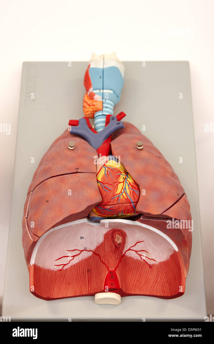 Inside a 6th form Science Stock Classroom Teaching Classroom for ...