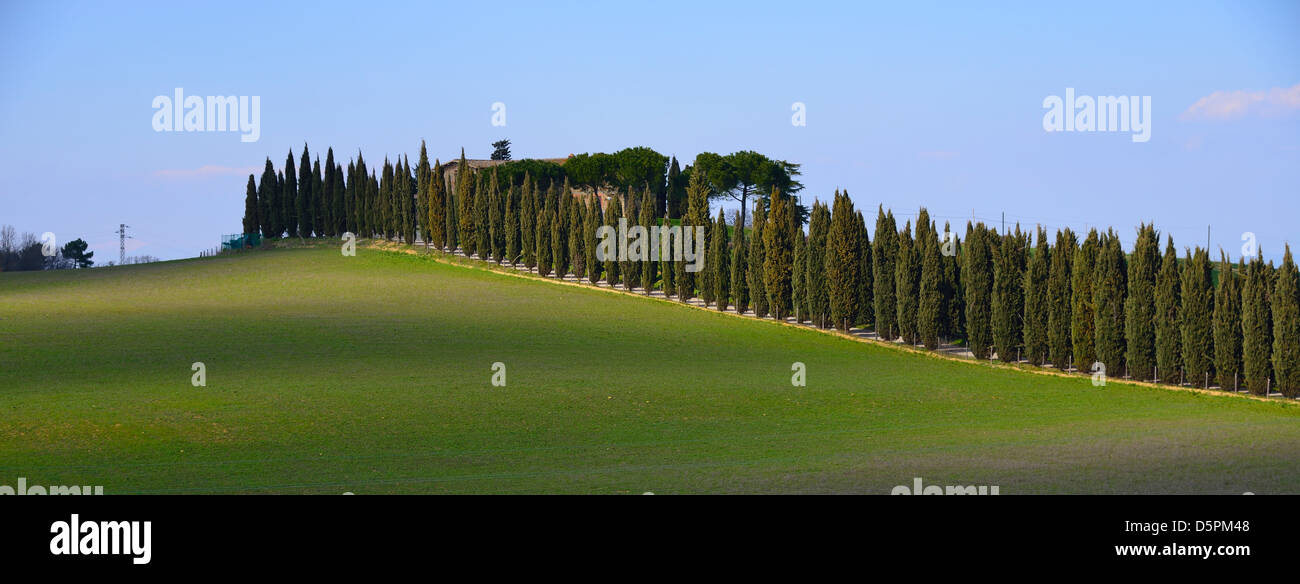 Classical view tuscan country hi-res stock photography and images - Alamy