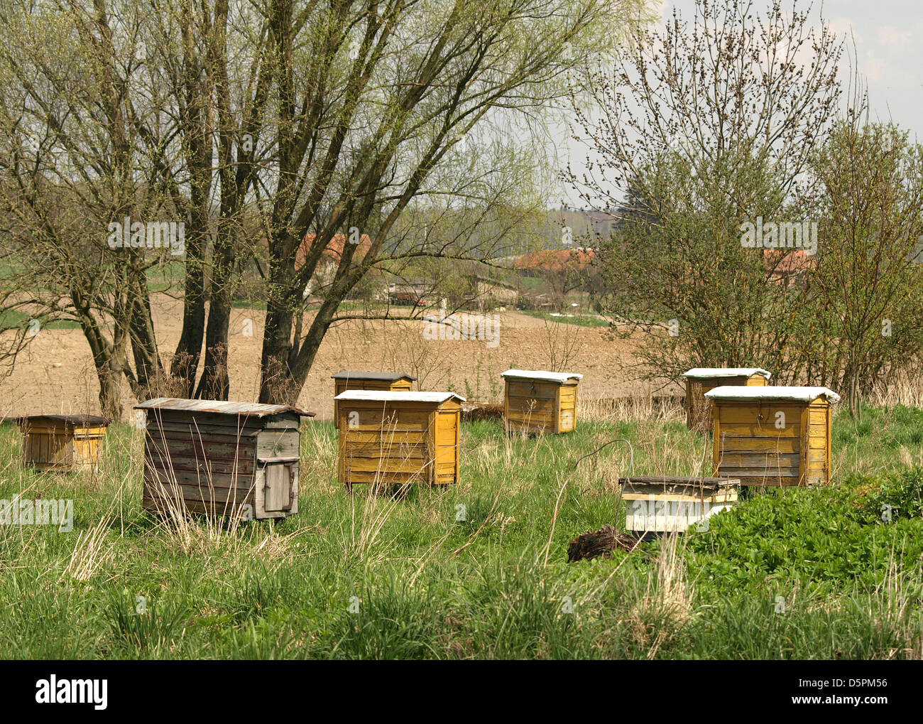 Rural beehives hi-res stock photography and images - Alamy