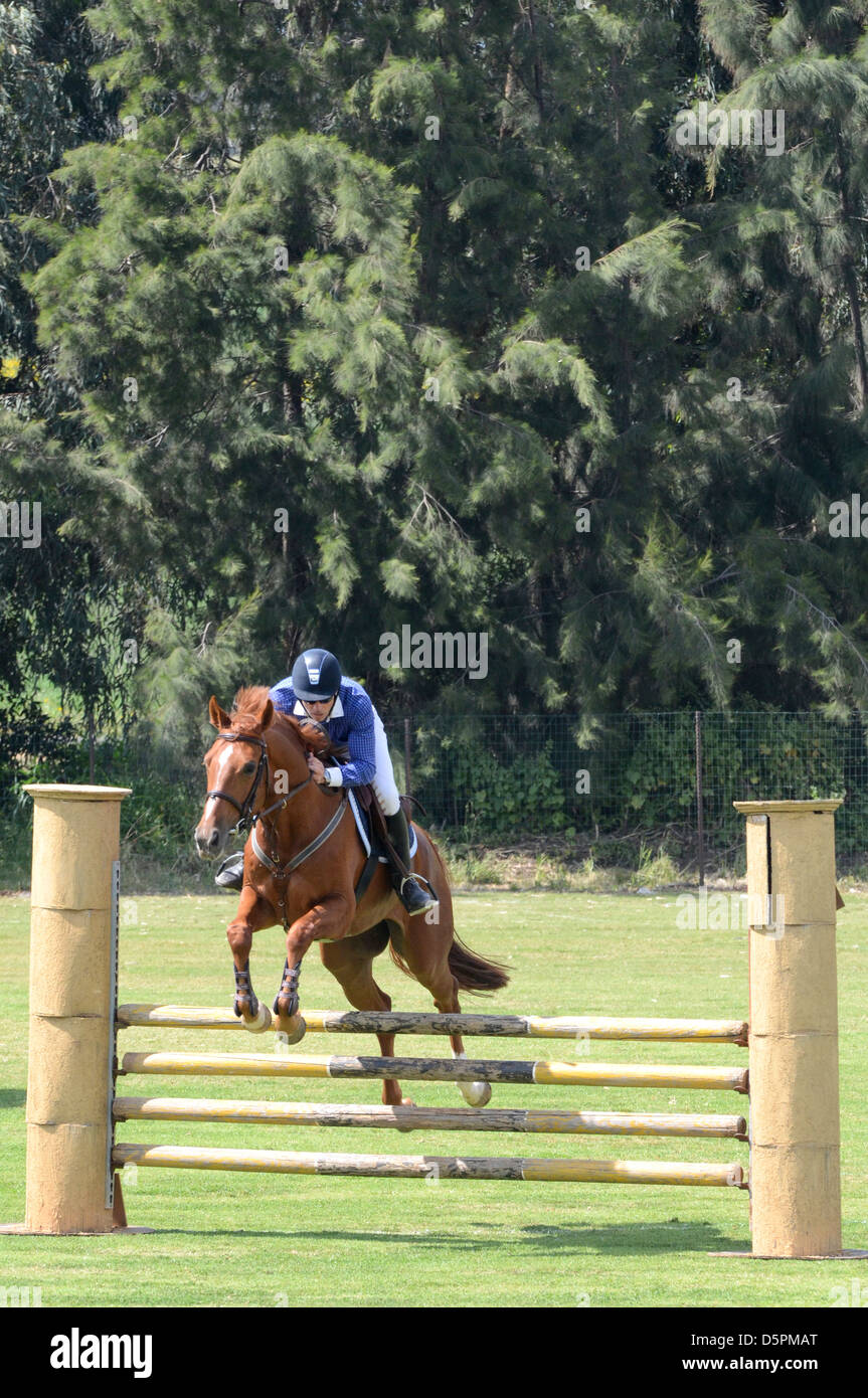 Horse hurdles hi-res stock photography and images - Alamy