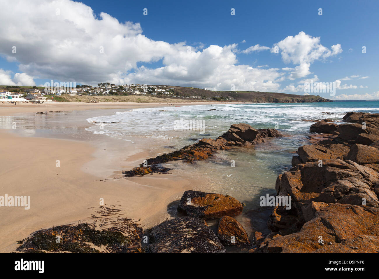 Rocky on the beautiful golden sandy beach at Praa Sands Cornwall ...