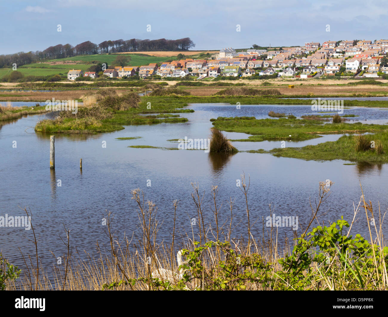 Lodmoor nature reserve hi-res stock photography and images - Alamy