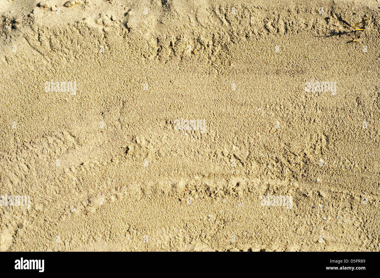 sand closeup as texture Stock Photo - Alamy