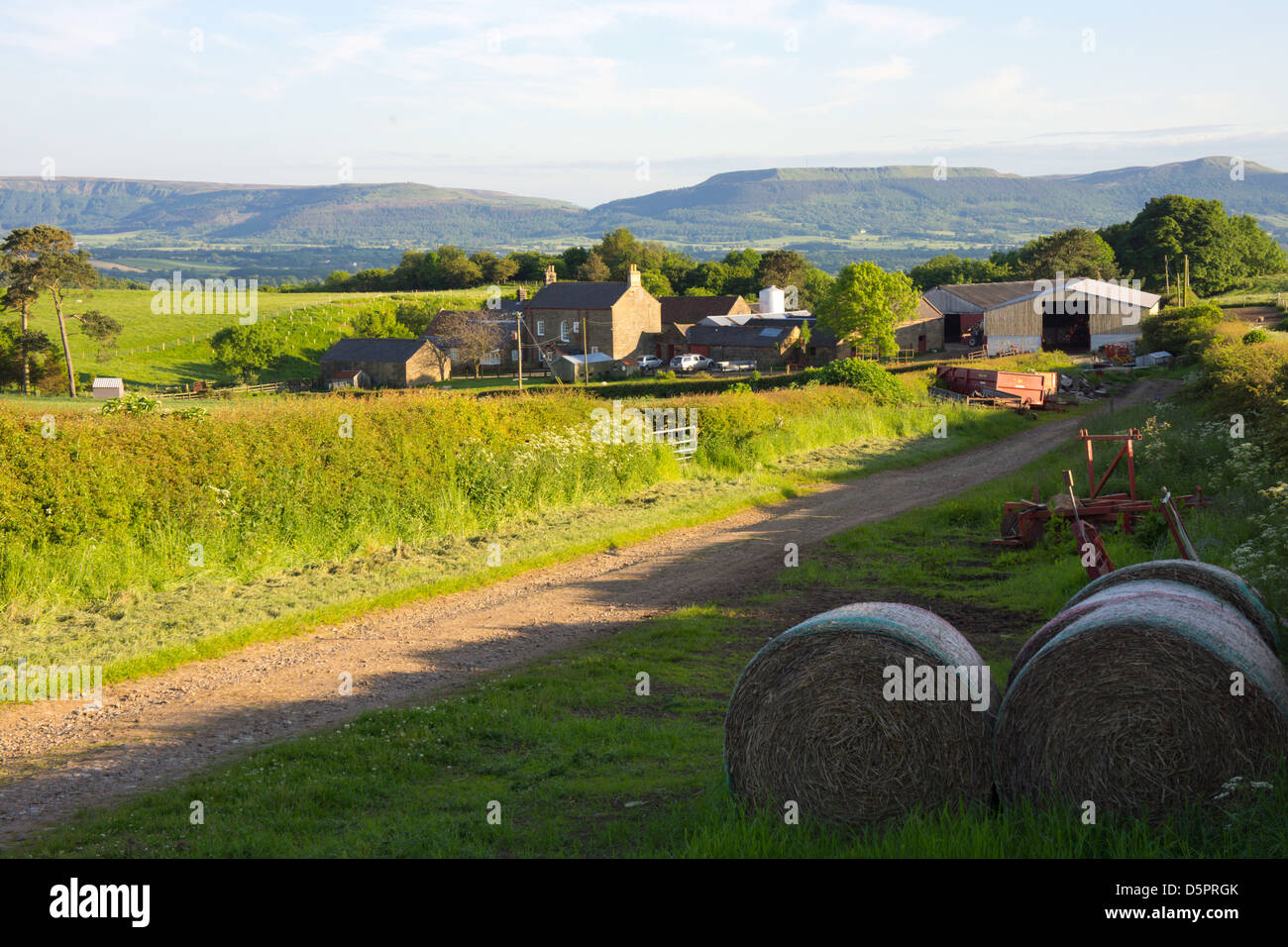 Lane with hay bales, leading to farm Stock Photo - Alamy