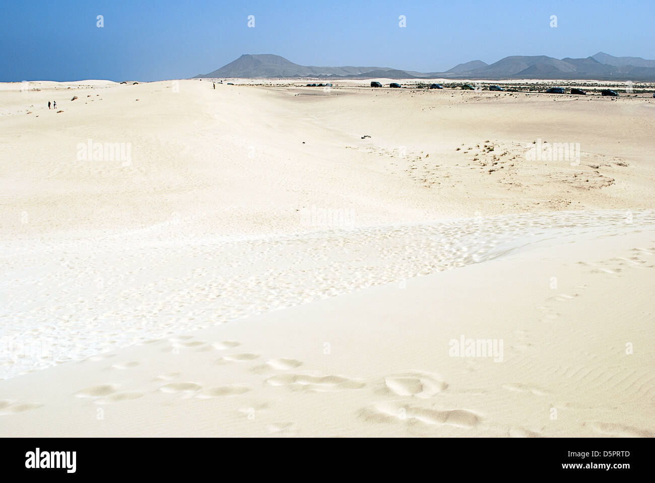 Fuerteventura dunes that looks like a desert Stock Photo - Alamy
