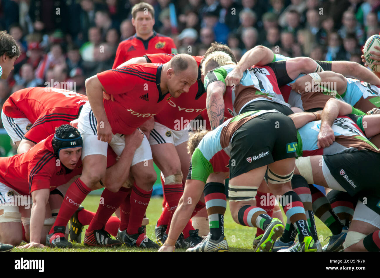 Scrum down during the Heineken Cup quarter-final match between ...