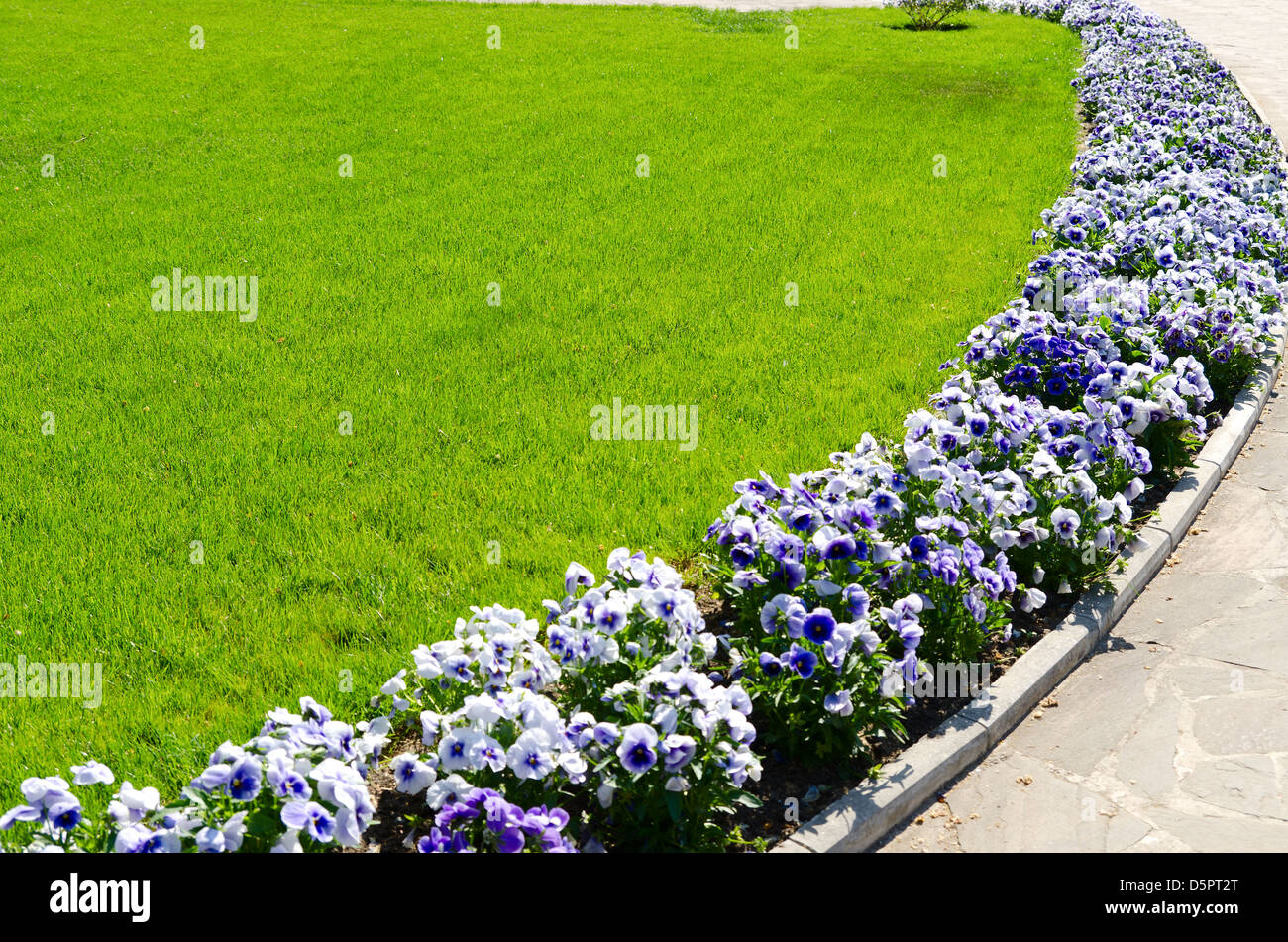 park design with flowers Stock Photo - Alamy