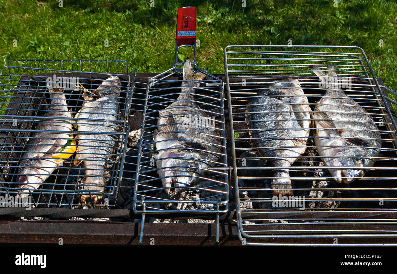 Fresh fish on a grill Stock Photo - Alamy