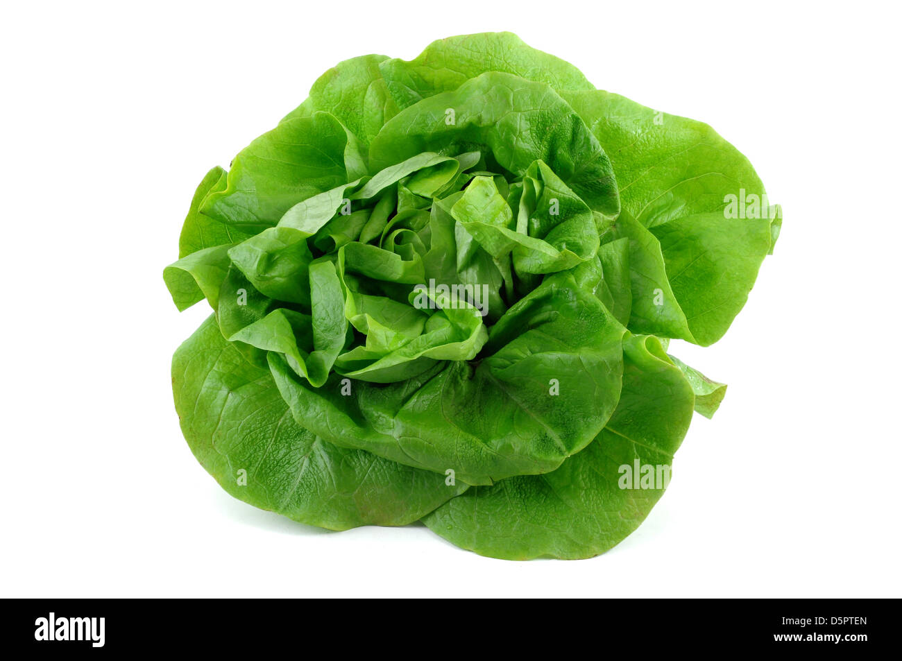 big fresh green lettuce on white background Stock Photo - Alamy