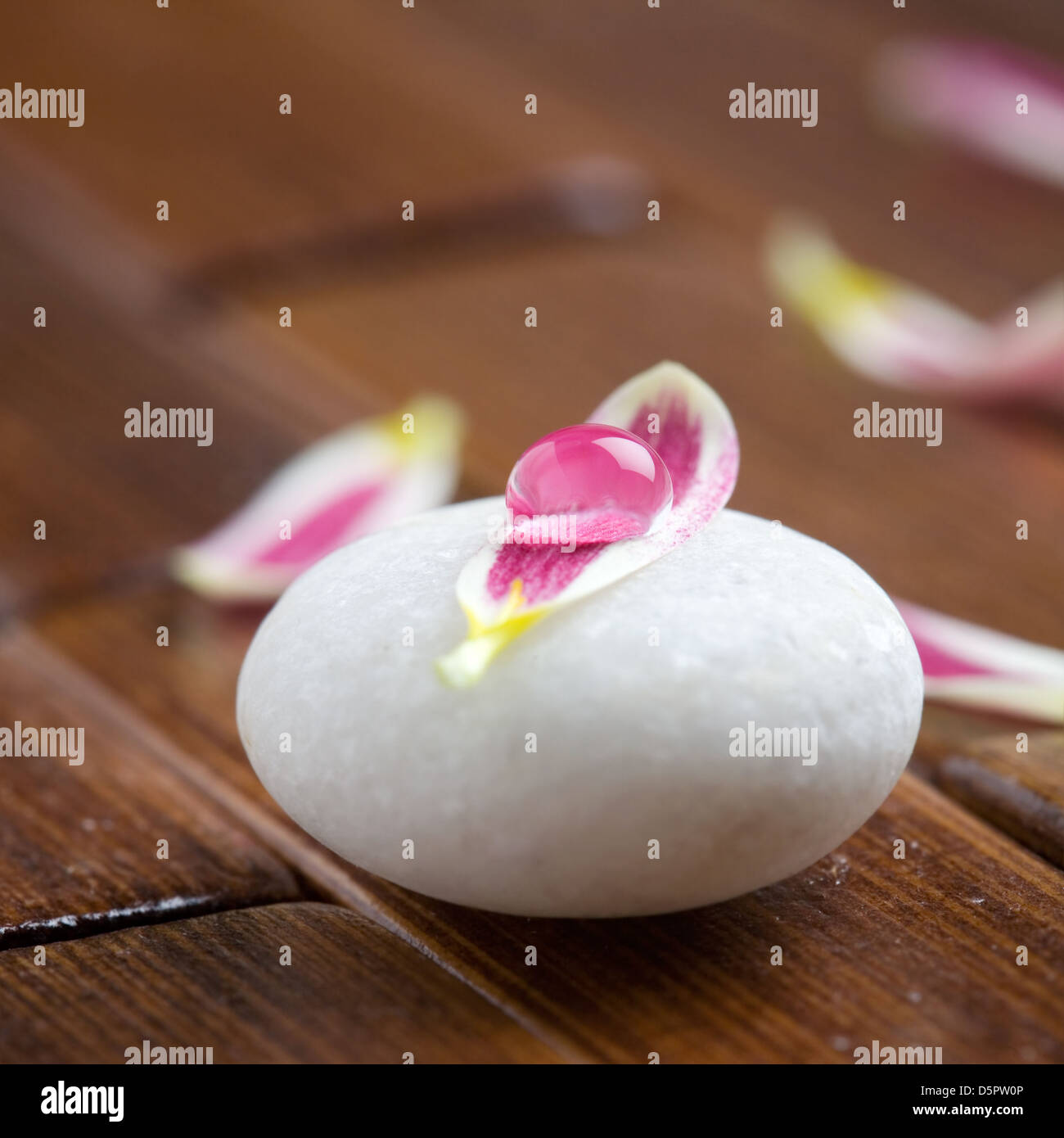 White stone with flower petals and water drop Stock Photo - Alamy