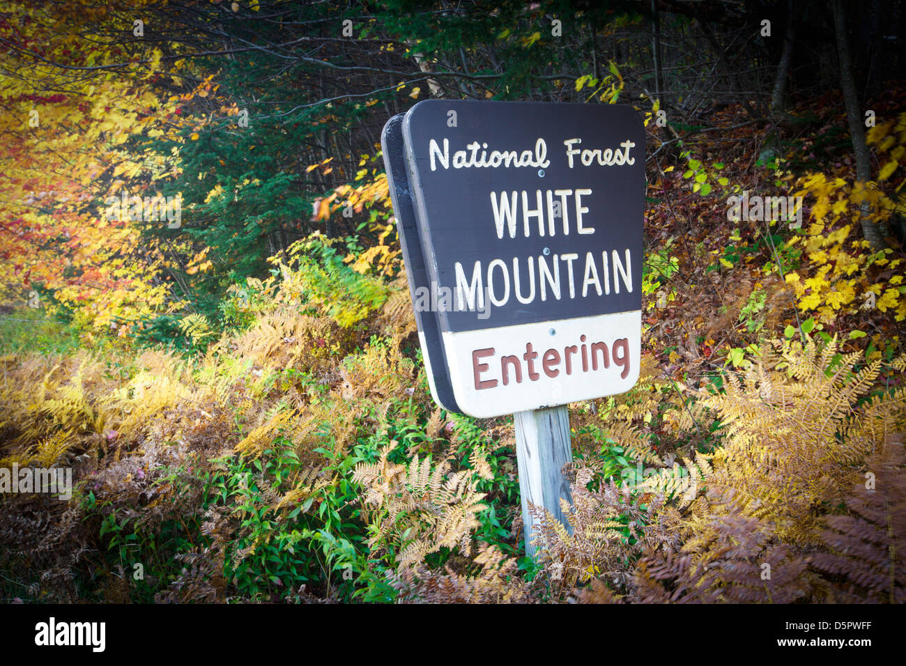 Franconia Notch State Park - Scenic view along the Franconia Notch Bike ...