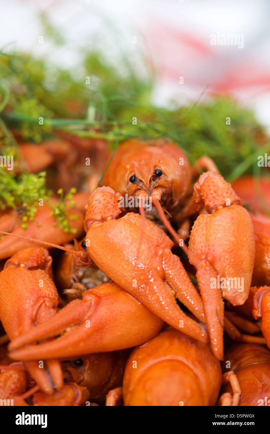 Dinner party with pile of crayfish Stock Photo - Alamy