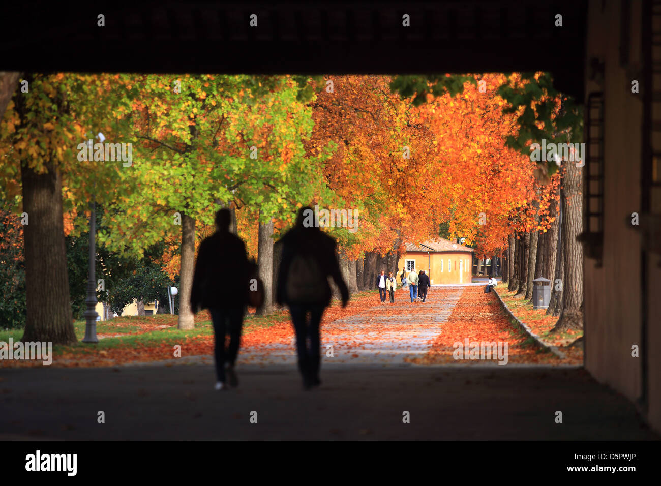 Italy,Tuscany,Lucca, walk on the walls in autumn Stock Photo - Alamy